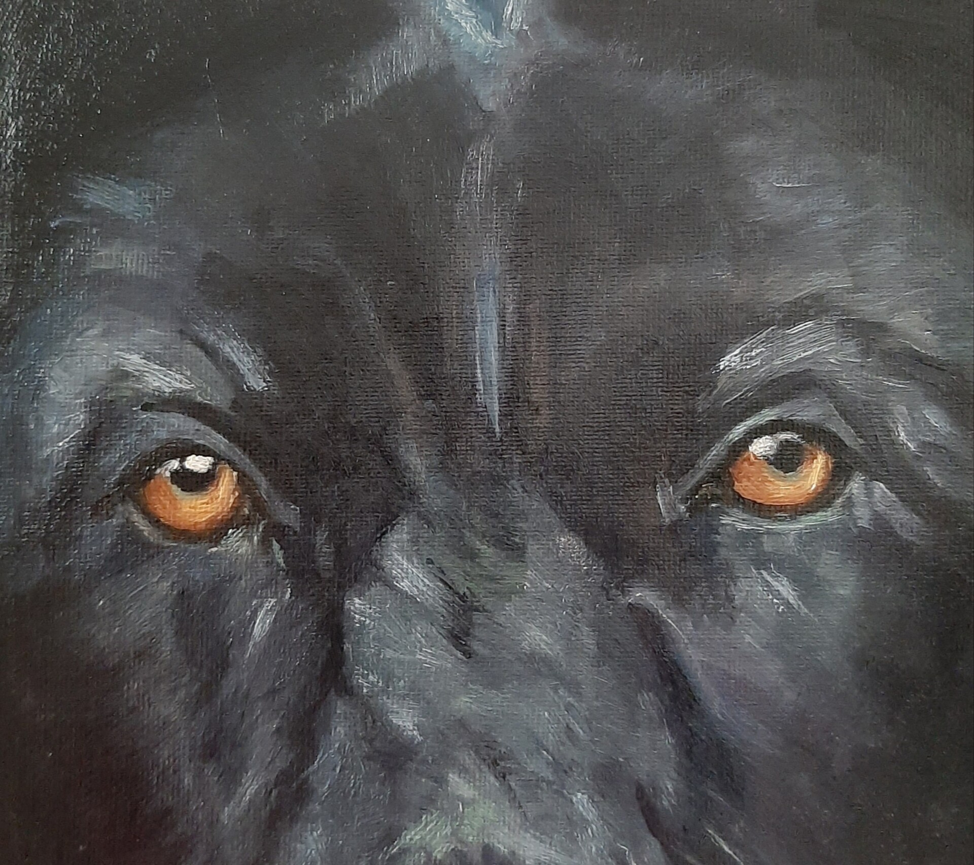 ArtStation - Dark Wolf