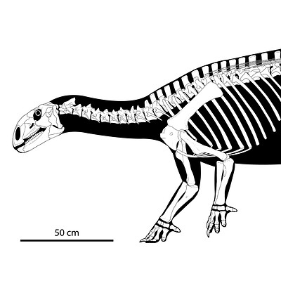 telmatosaurus skeletal