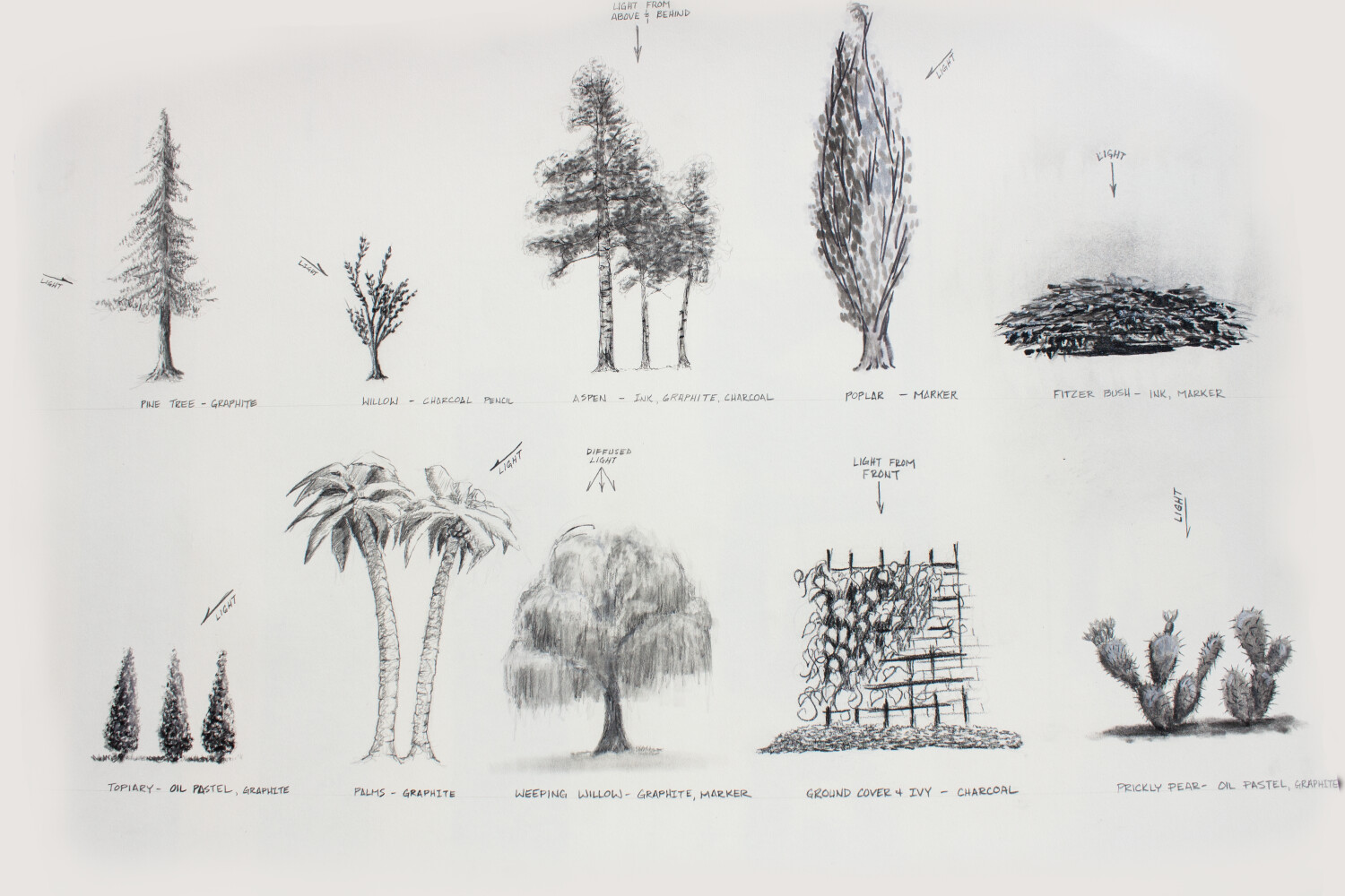 ArtStation - Tree Sketches