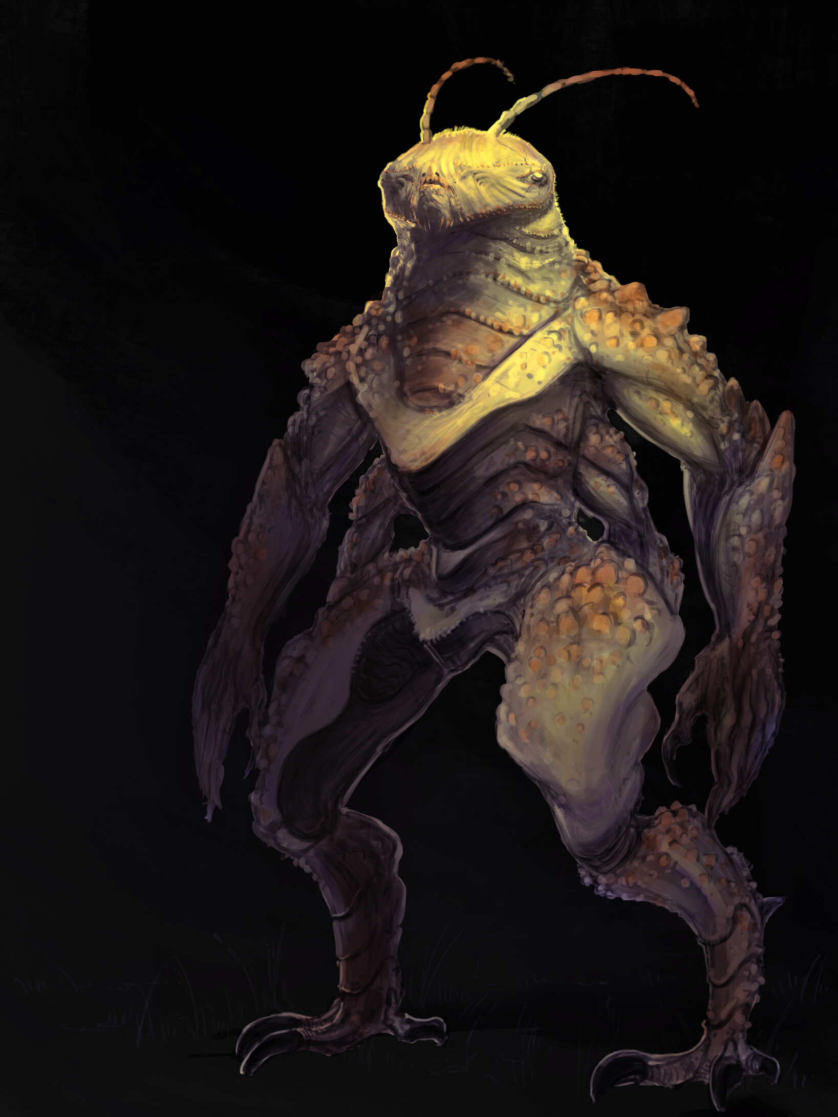 ArtStation - Insect Creature