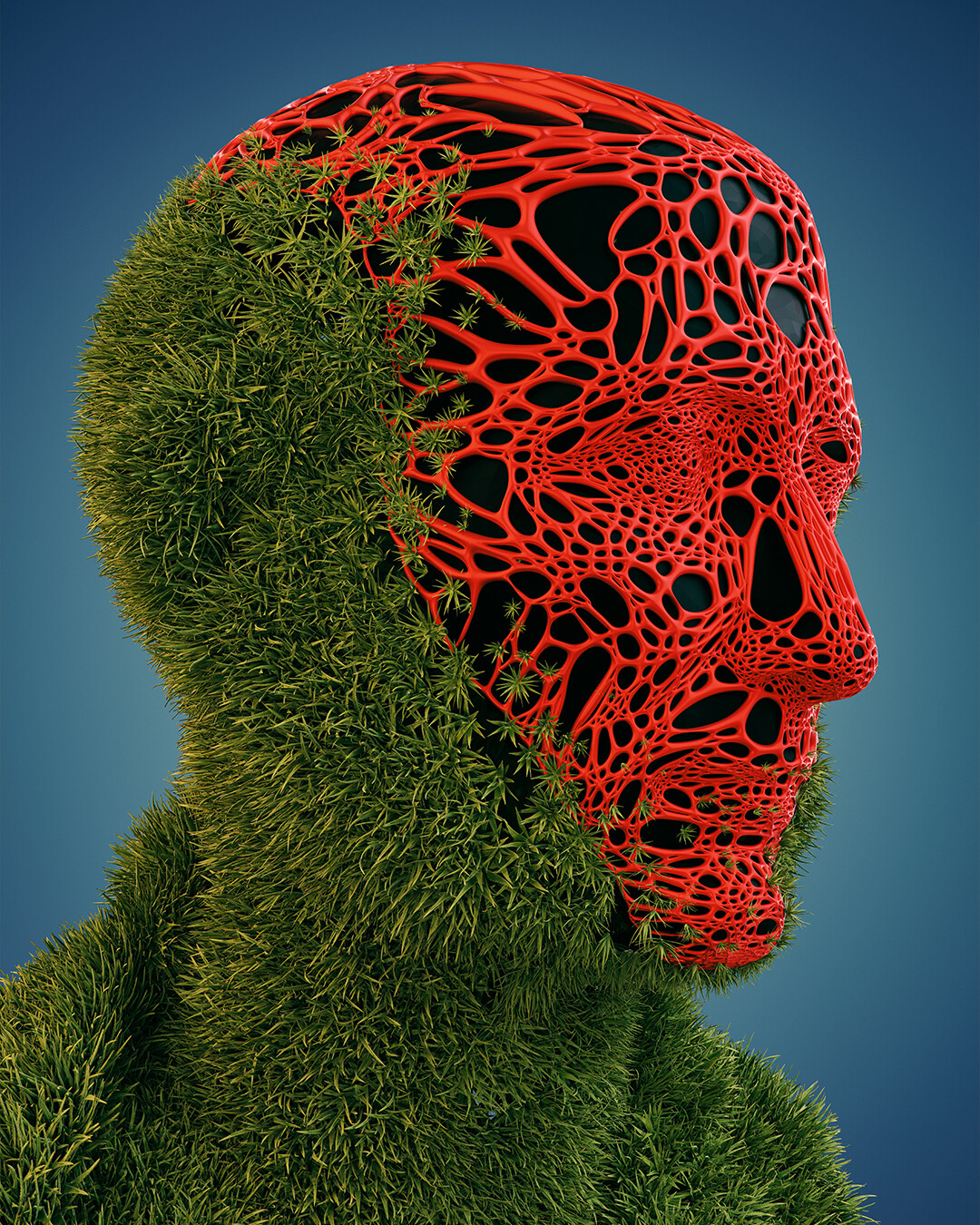 ArtStation - ALOE FIELD