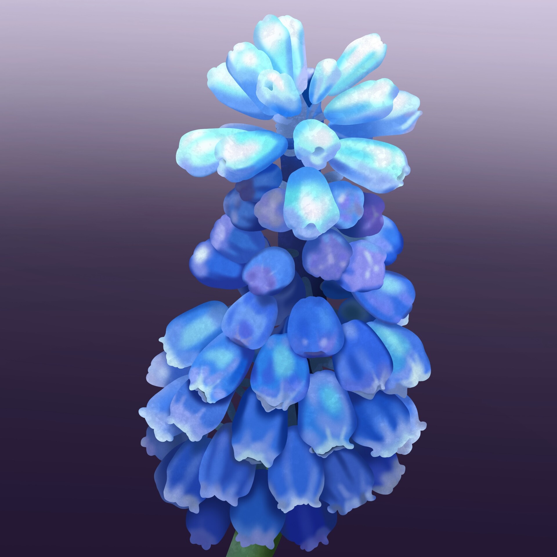 ArtStation - Muscari