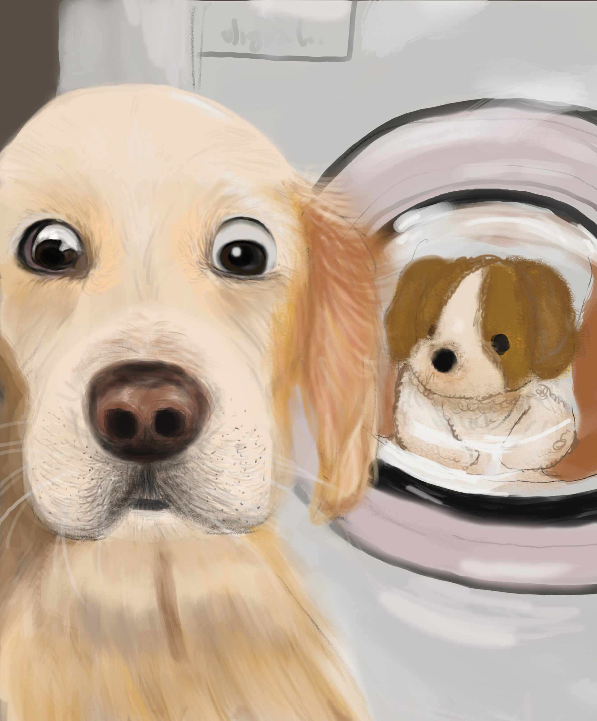 ArtStation - Dog and teddy dog