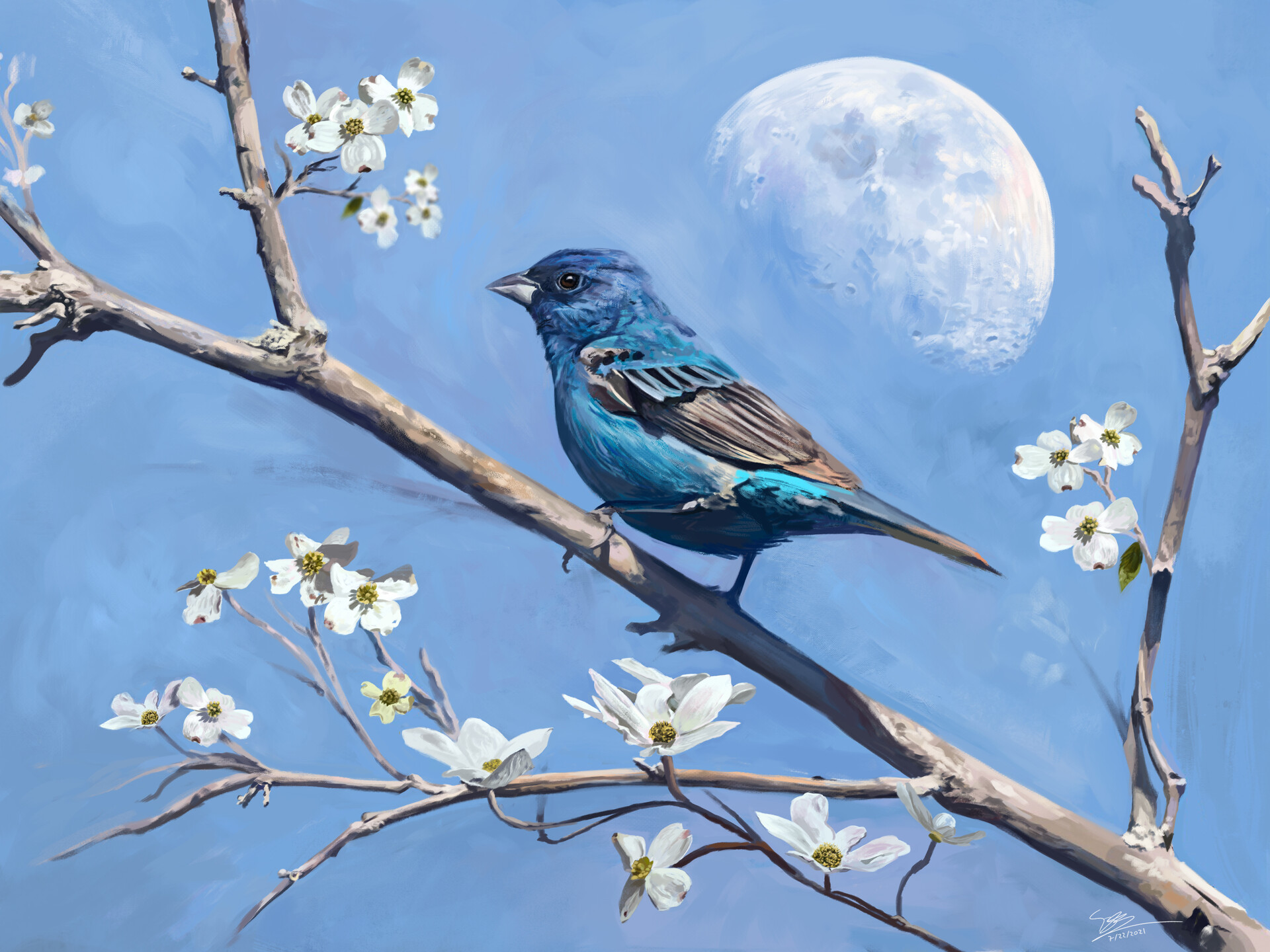 ArtStation - Indigo Moonlight