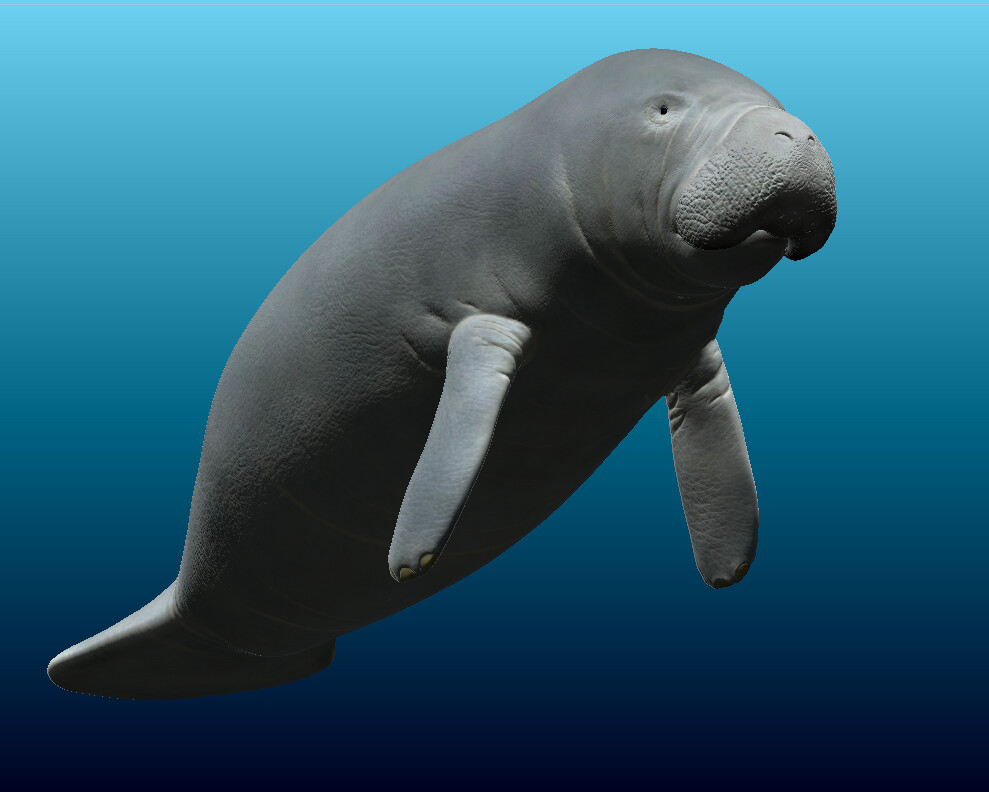 ArtStation - Manatee Commission Sculpt and Texture
