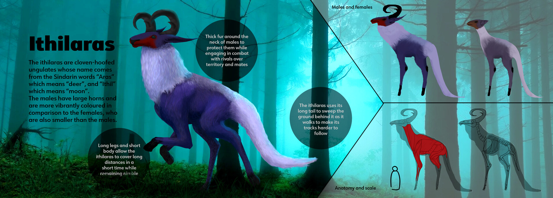 ArtStation - Creature Concept Design | Ithilaras