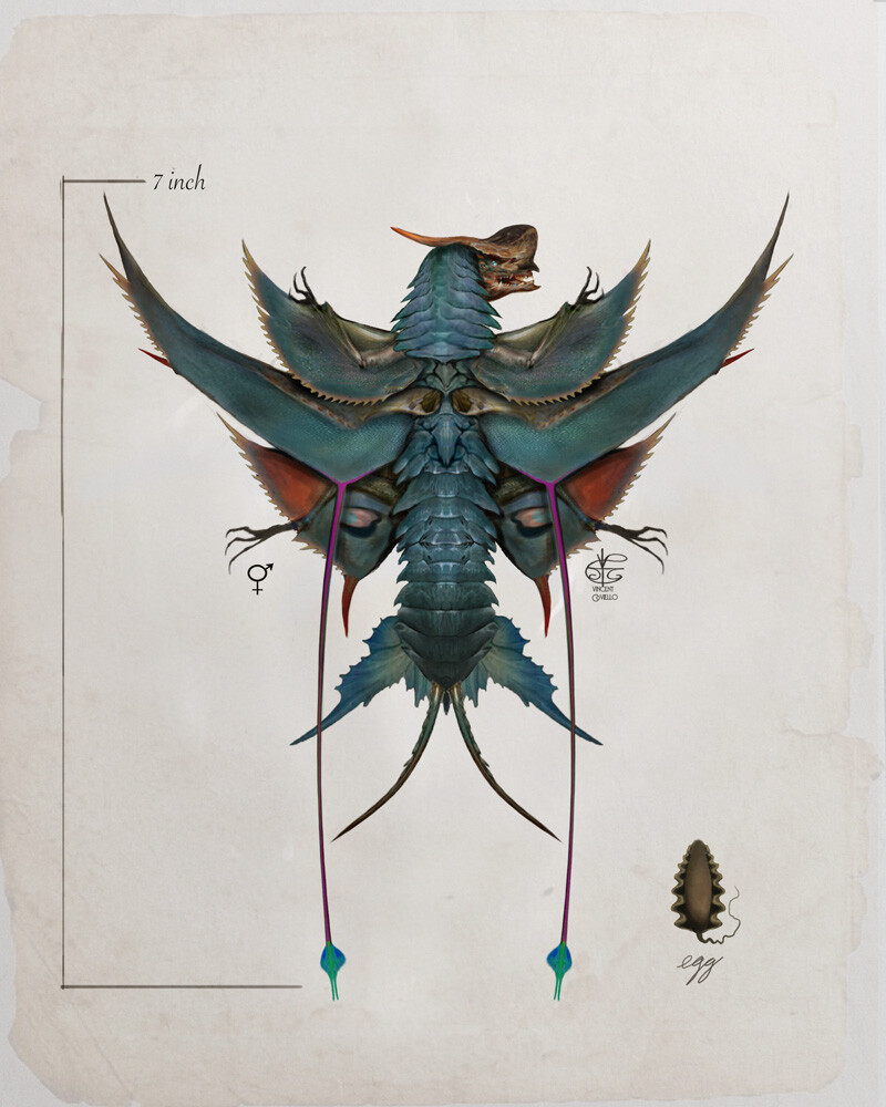 ArtStation - Dragon Bestiary