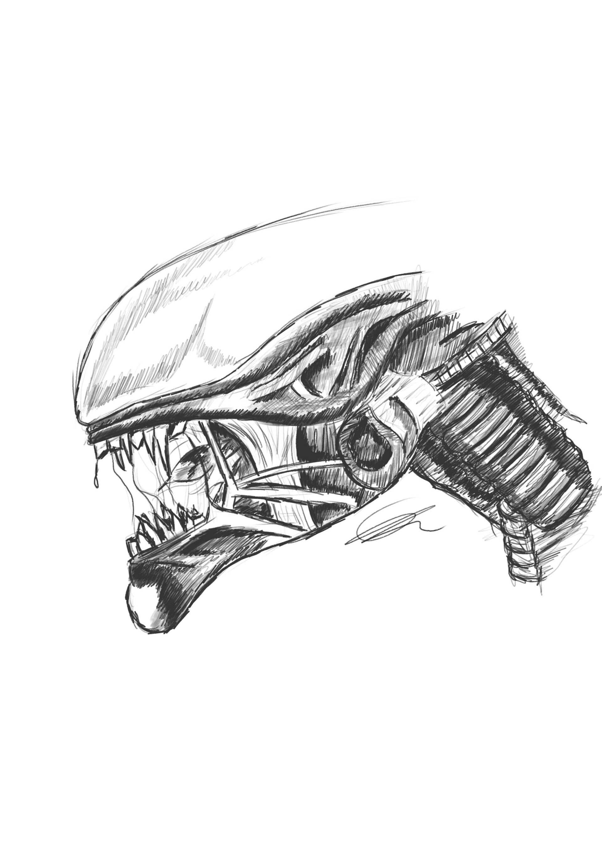 ArtStation - Alien sketch