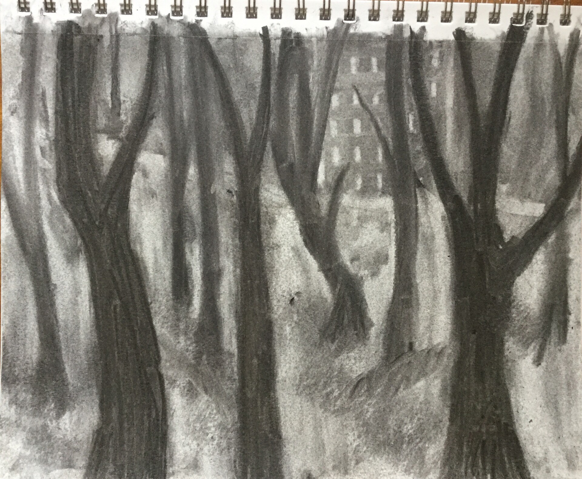 ArtStation - Charcoal Landscape- Trees on a Hill