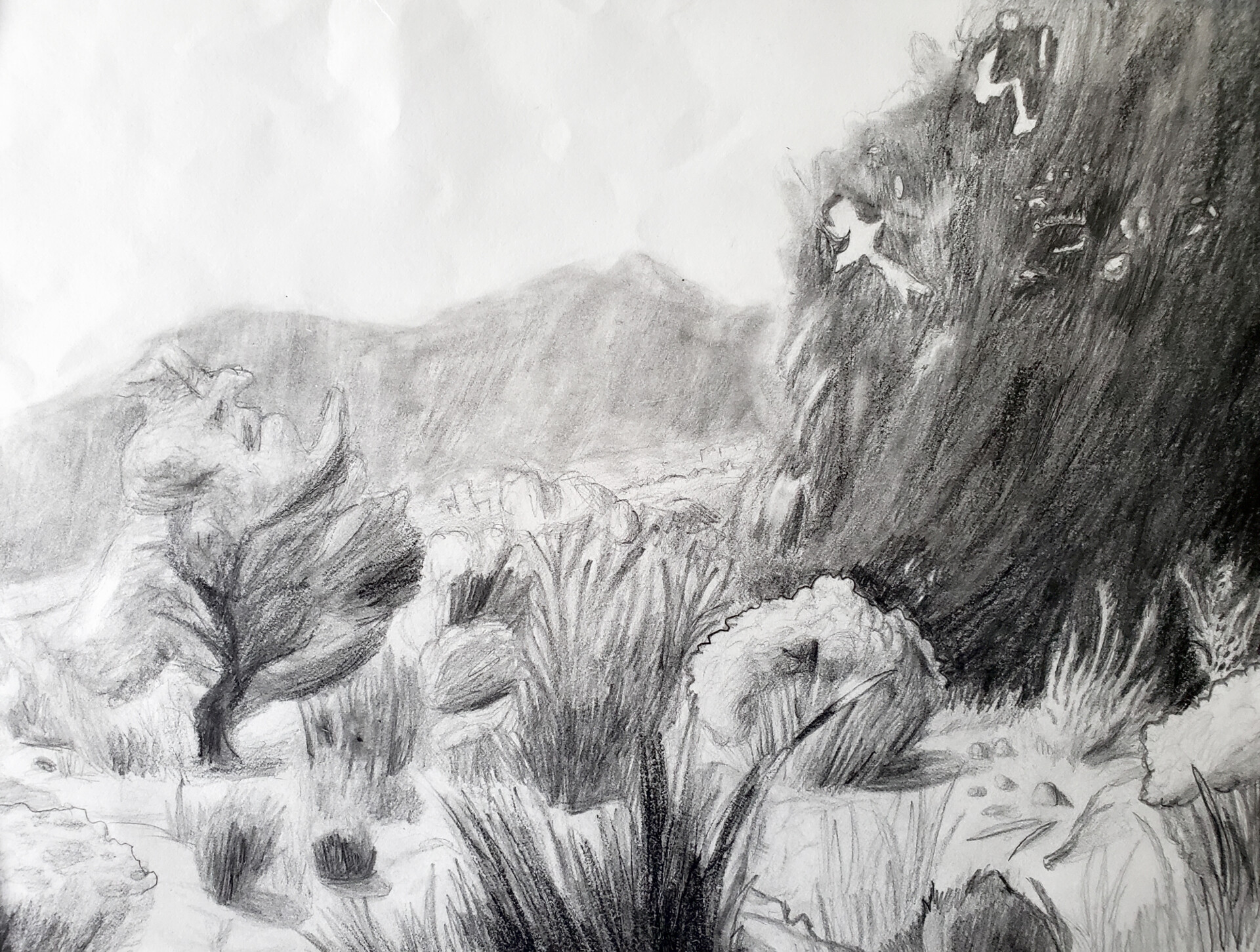 Durazorn - Story Artist Portfolio