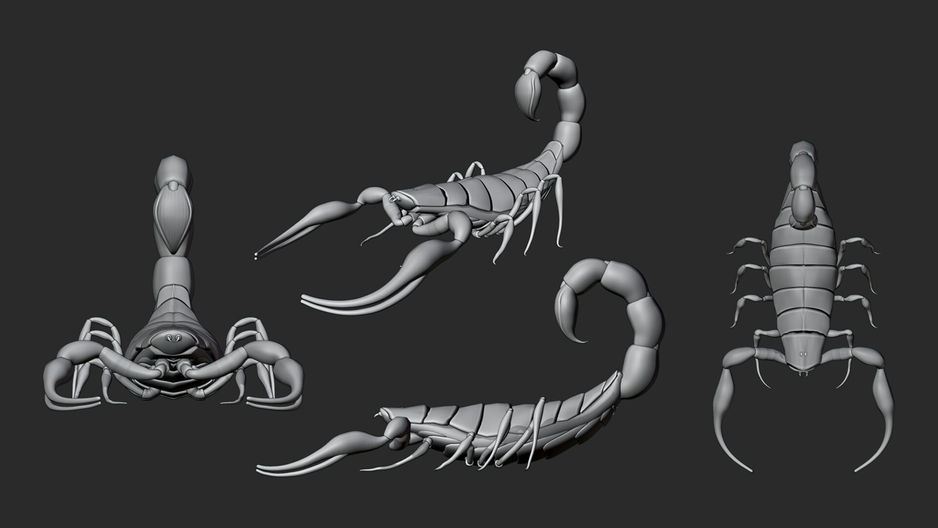 ArtStation - Scorpion Sculpt