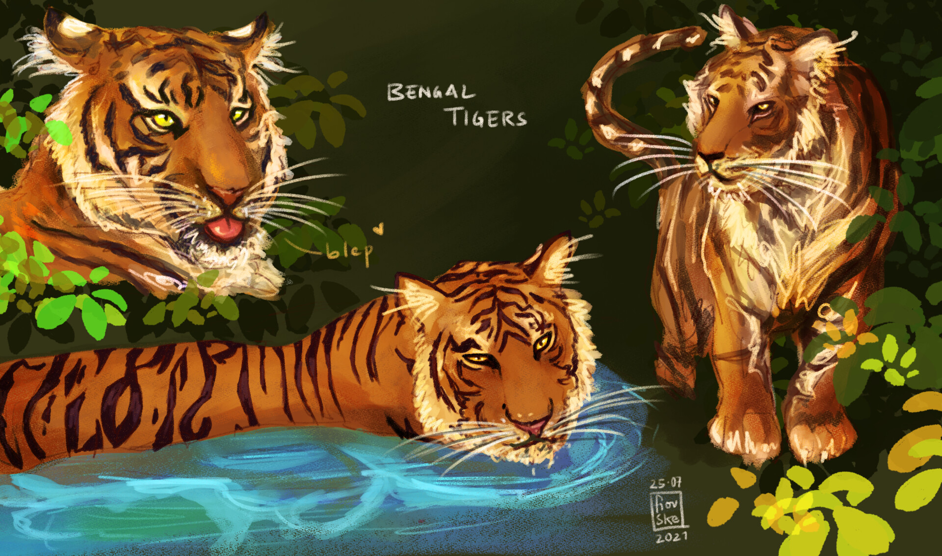 ArtStation - a study of tigers