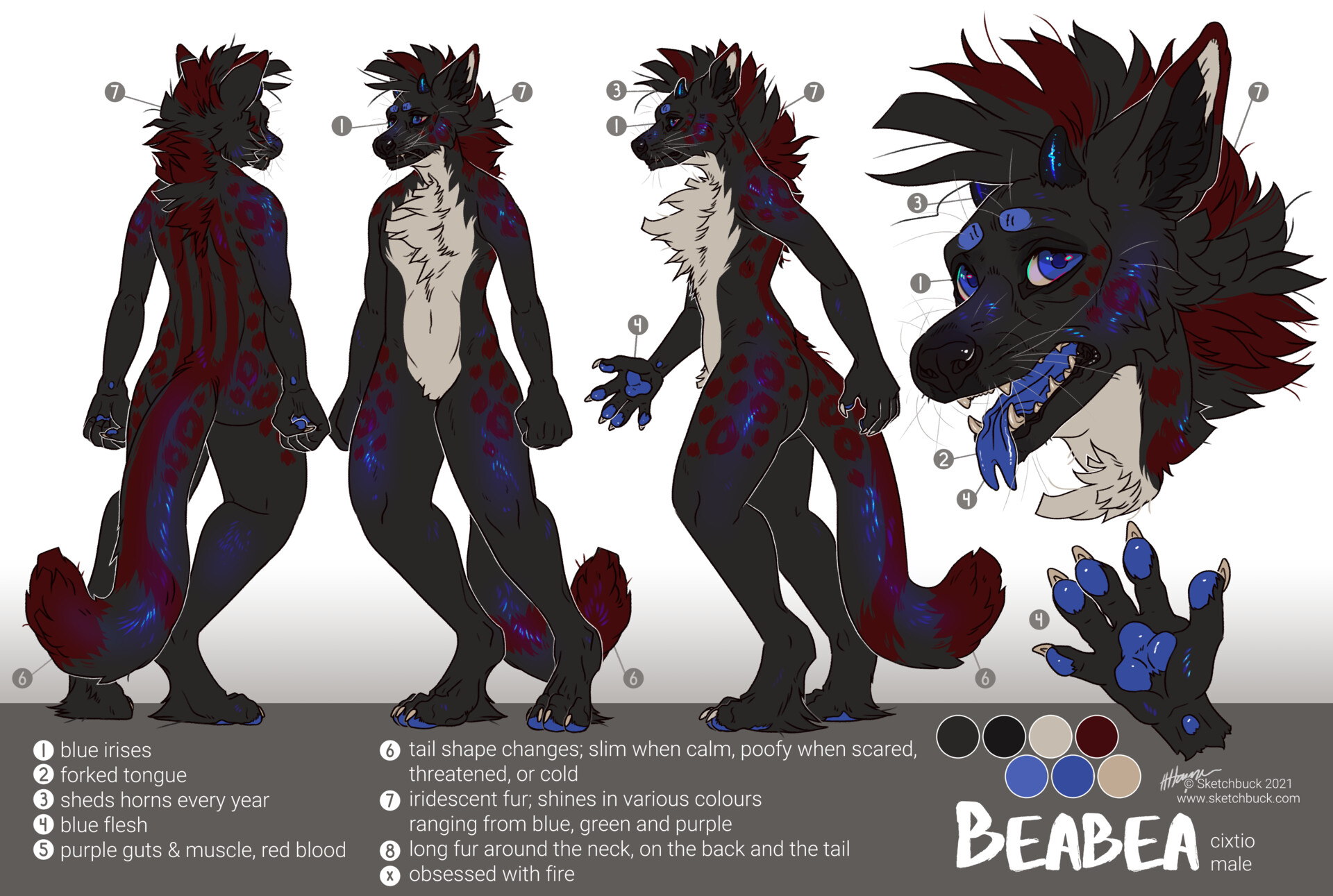 wolf anthro reference