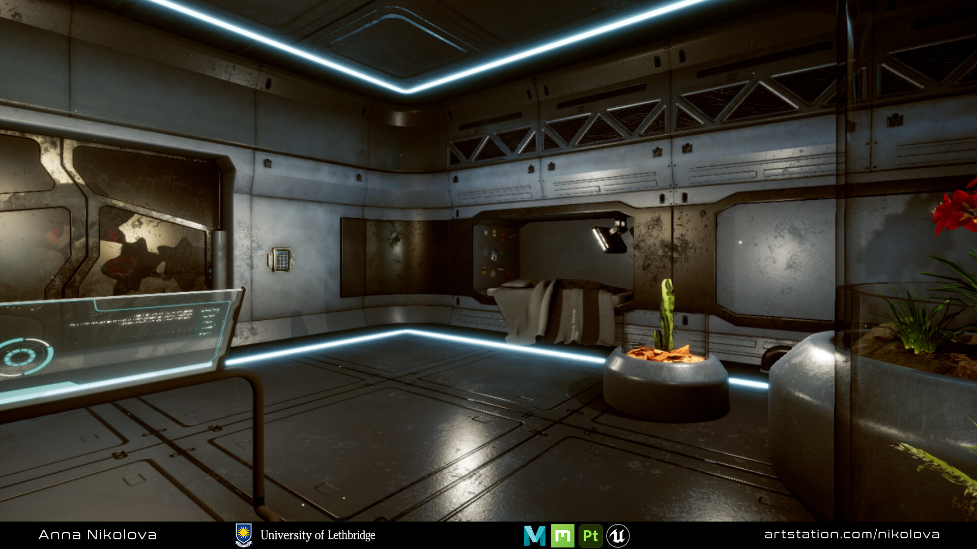 Anna Nikolova - MFA Project