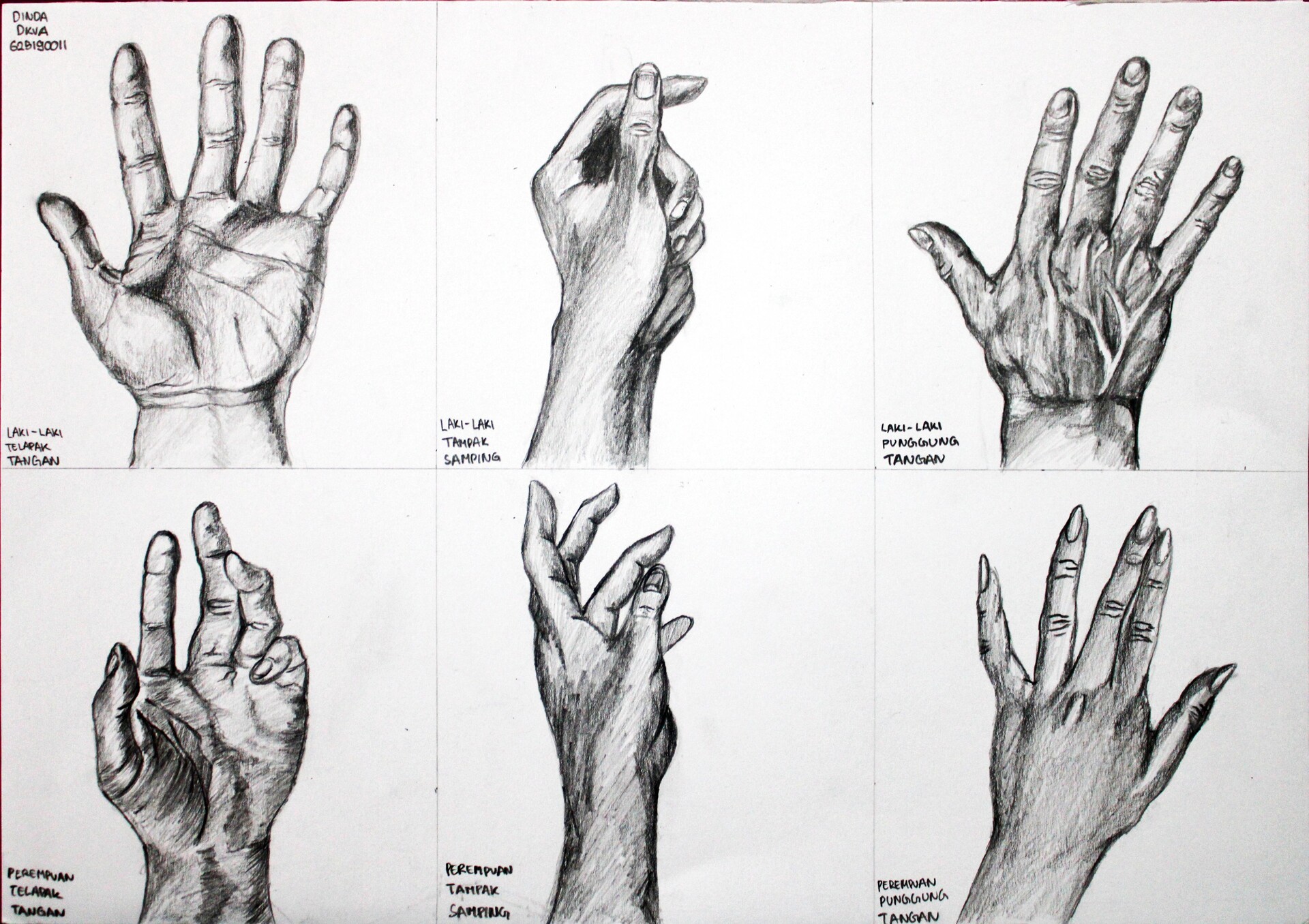 ArtStation - Hand and Feet Anatomy