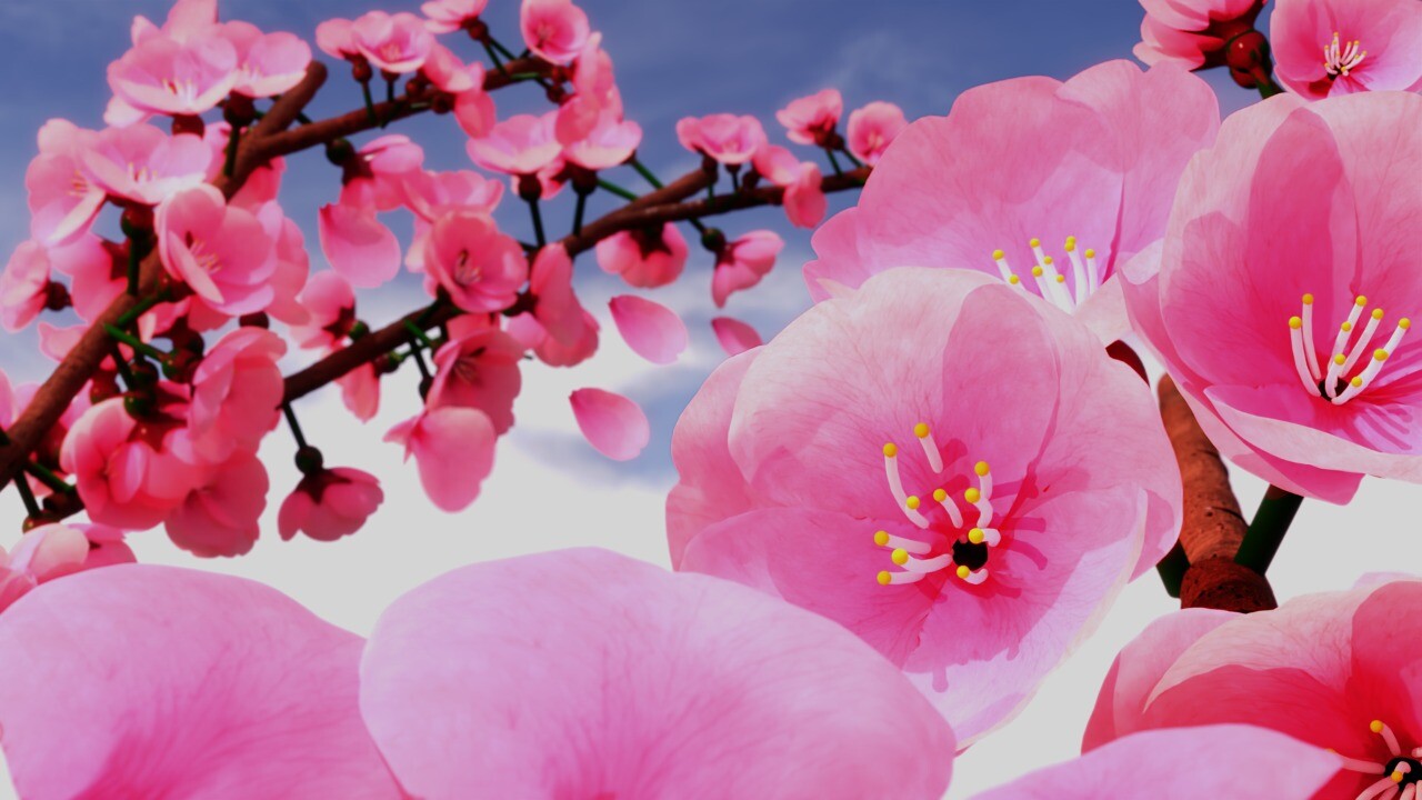 ArtStation - Sakura flowers