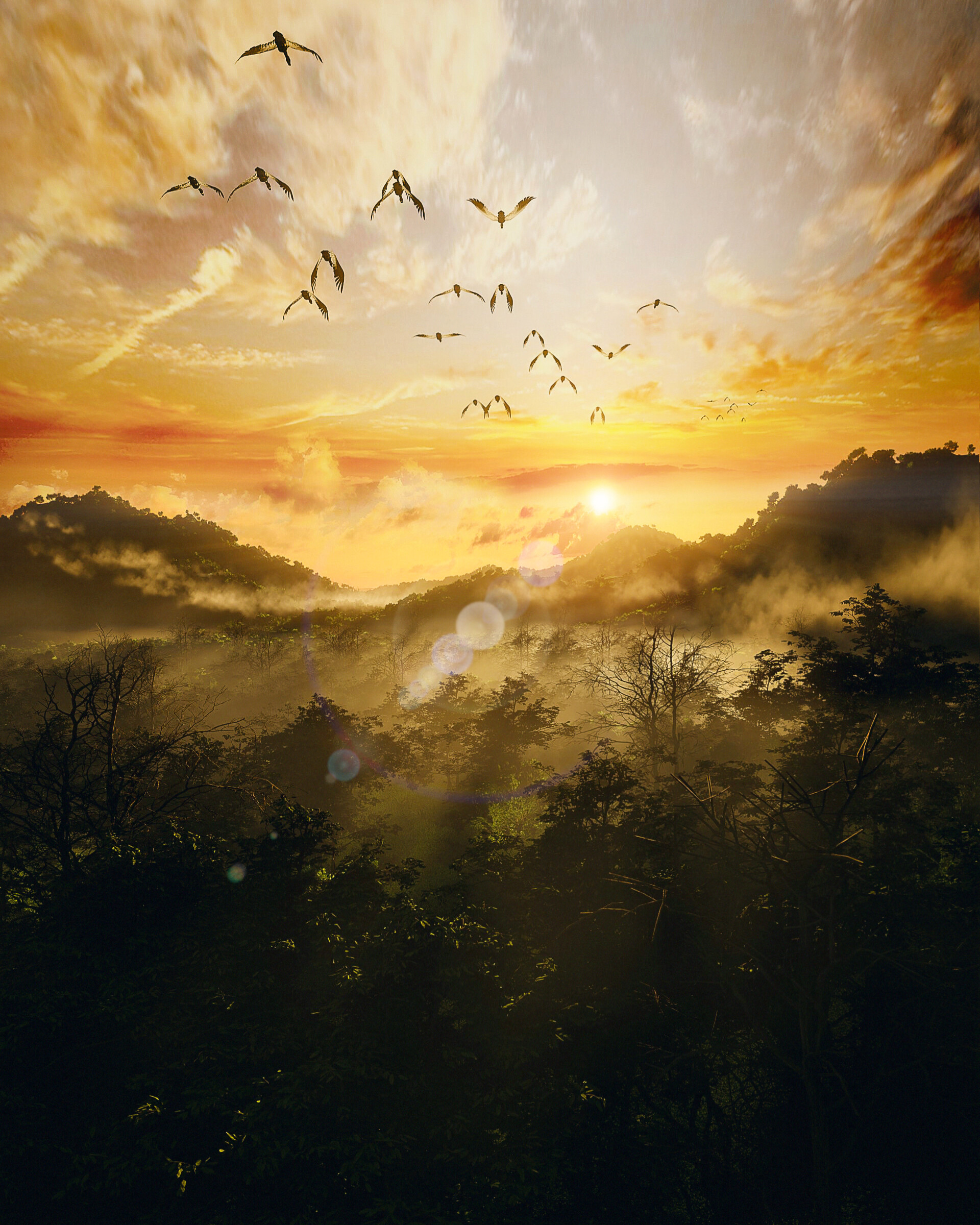 ArtStation - Forest sunset render