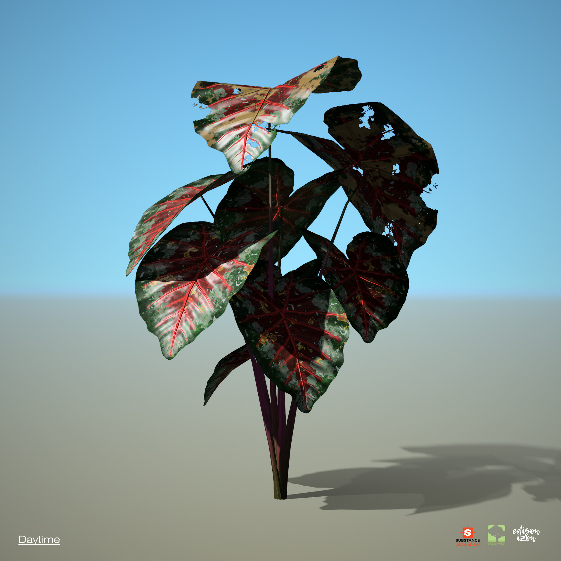 Edison - Caladium Plant Creation From Substance Designer To SpeedTree