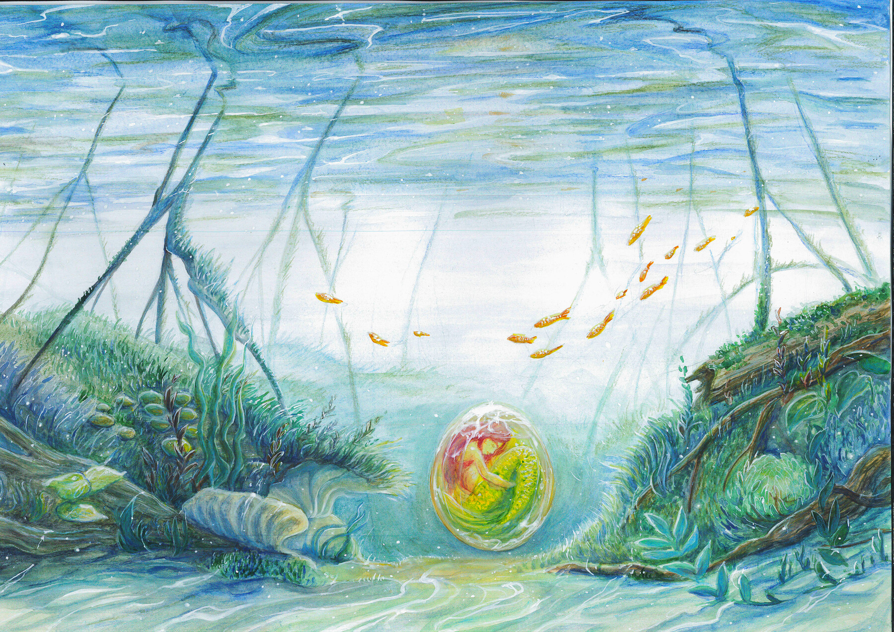 ArtStation - The Riverbed