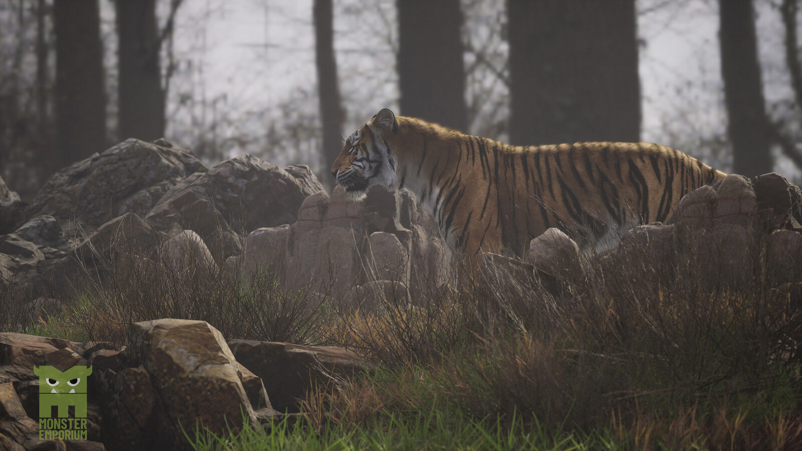 Haneesh Babu - Tiger_Monster Emporium Reel (www.monsteremporium.co.uk)