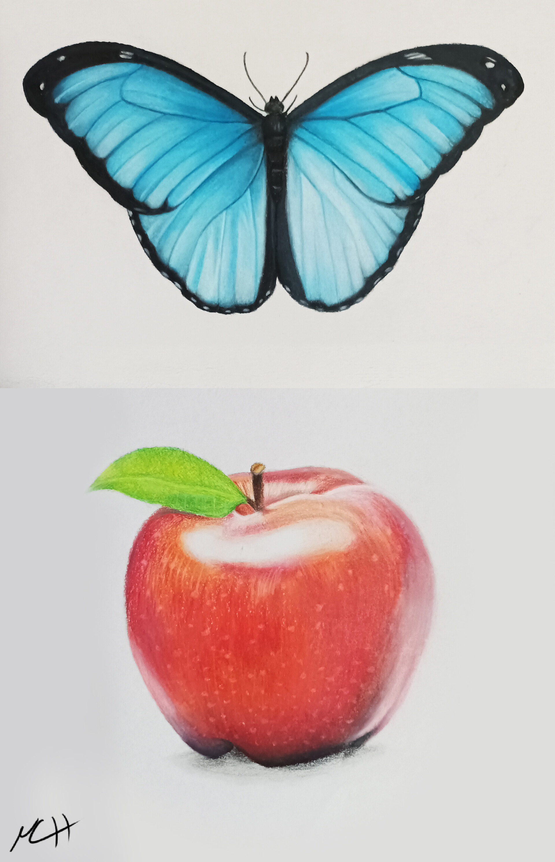 ArtStation - Butterfly + Apple