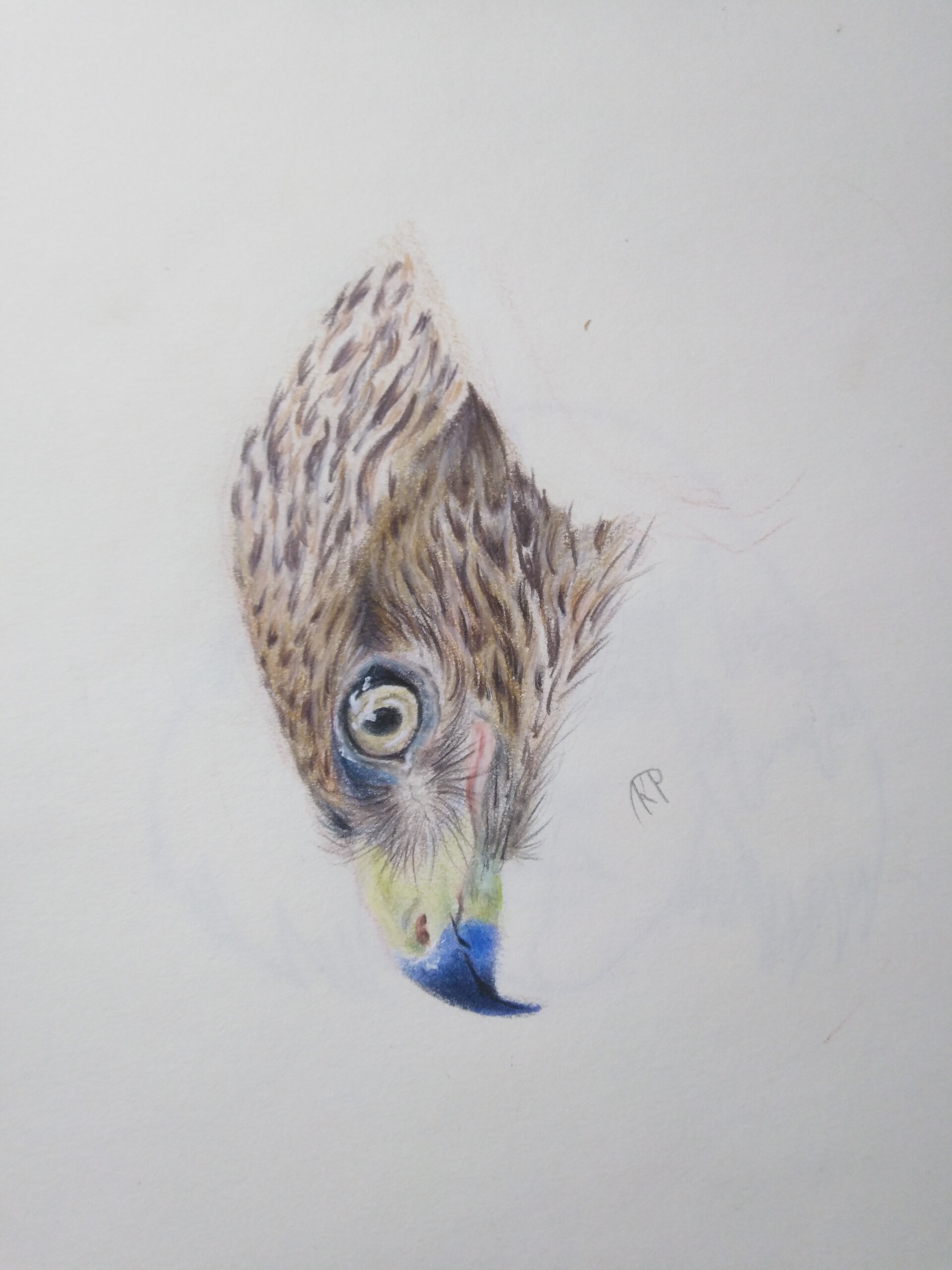 ArtStation - Works in progress?!