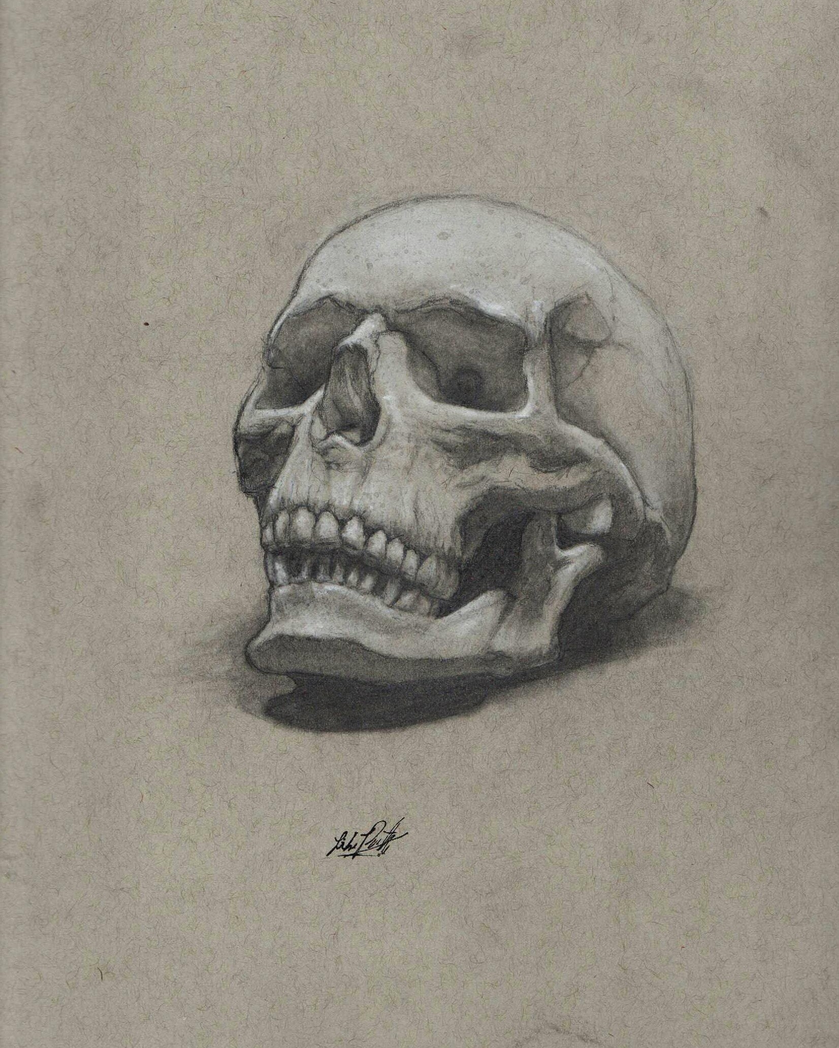 ArtStation - Skull study with graphite and soft pastel