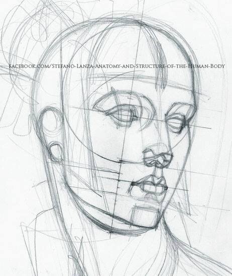 how to draw a human body and face