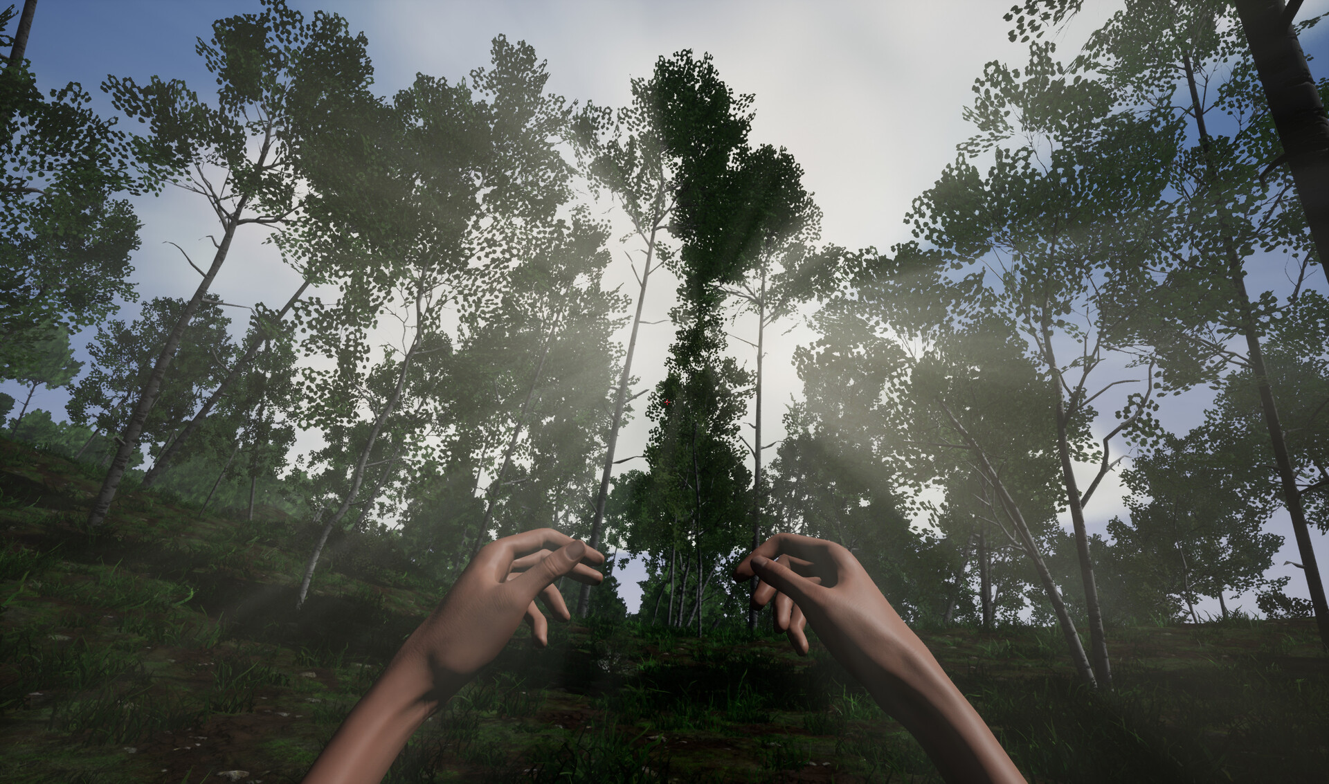 ArtStation - God Rays Forest