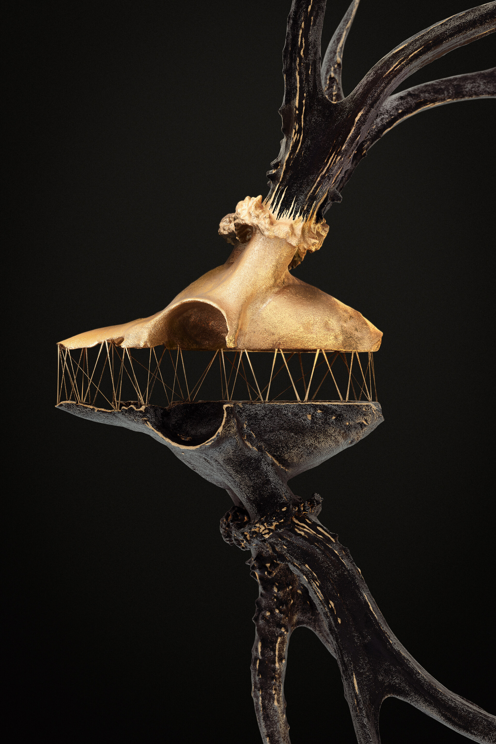 ArtStation - Gilded Skulls