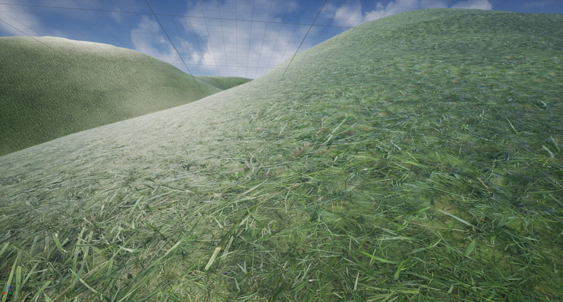 Joaquin Ponce Véjar - Realistic Grass Texture