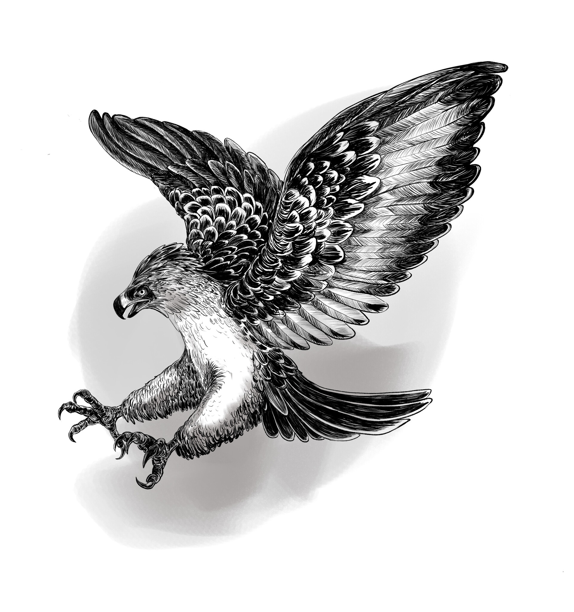 ArtStation - Soar High!