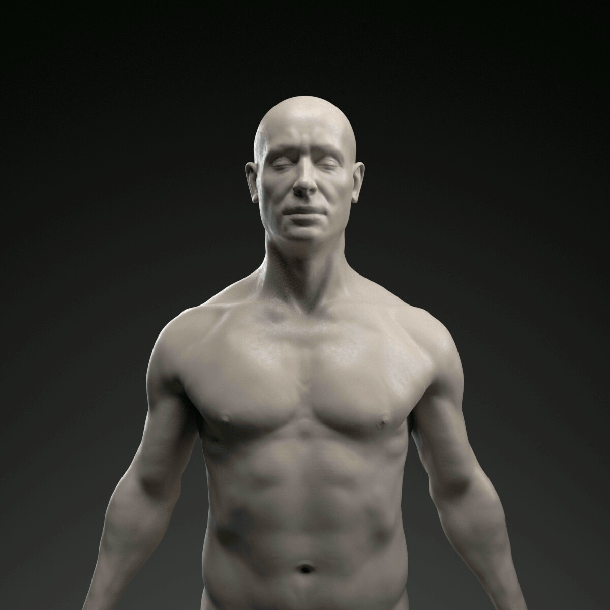 ArtStation - Shoulder study