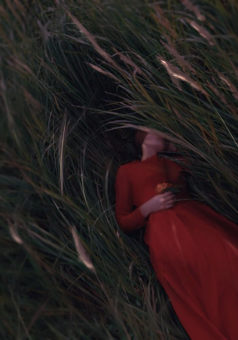 ArtStation - Lucilla Ancora