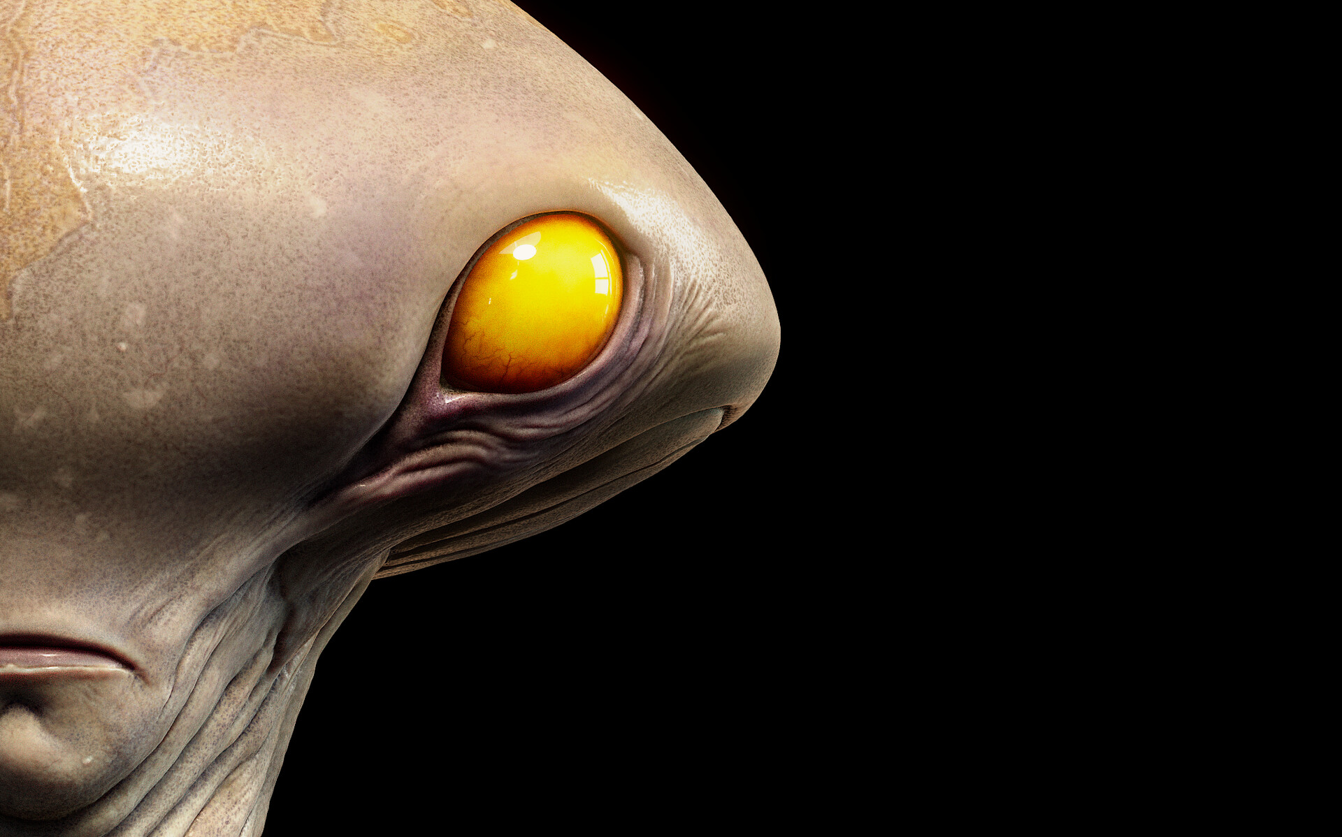 ArtStation - Creature - Inspired By Jordu Schell work