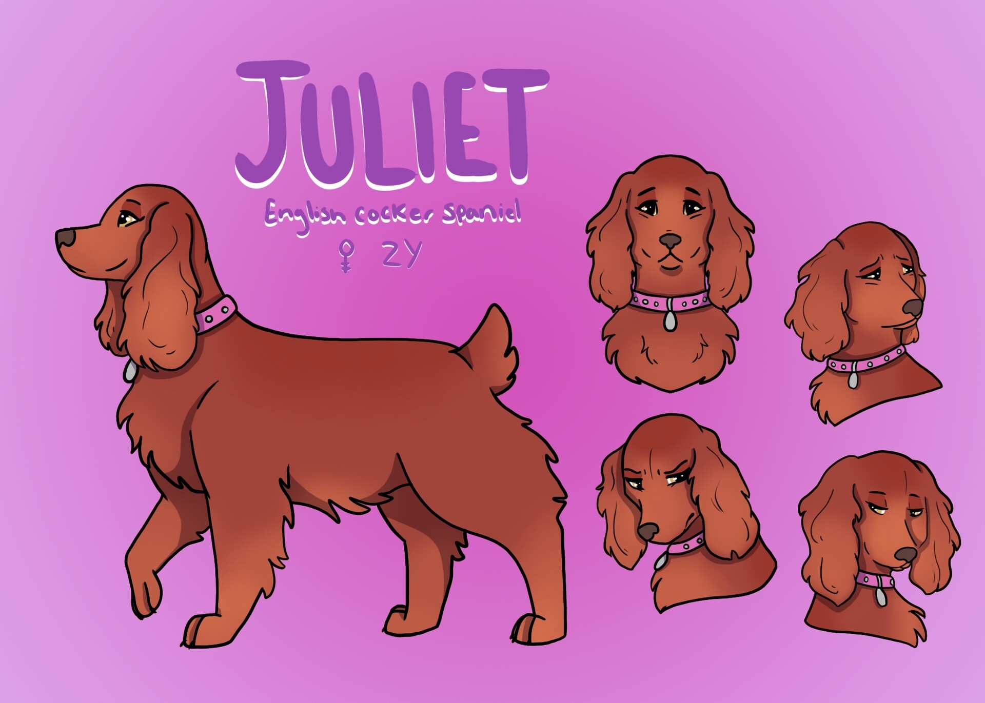 ArtStation - dog/character/design