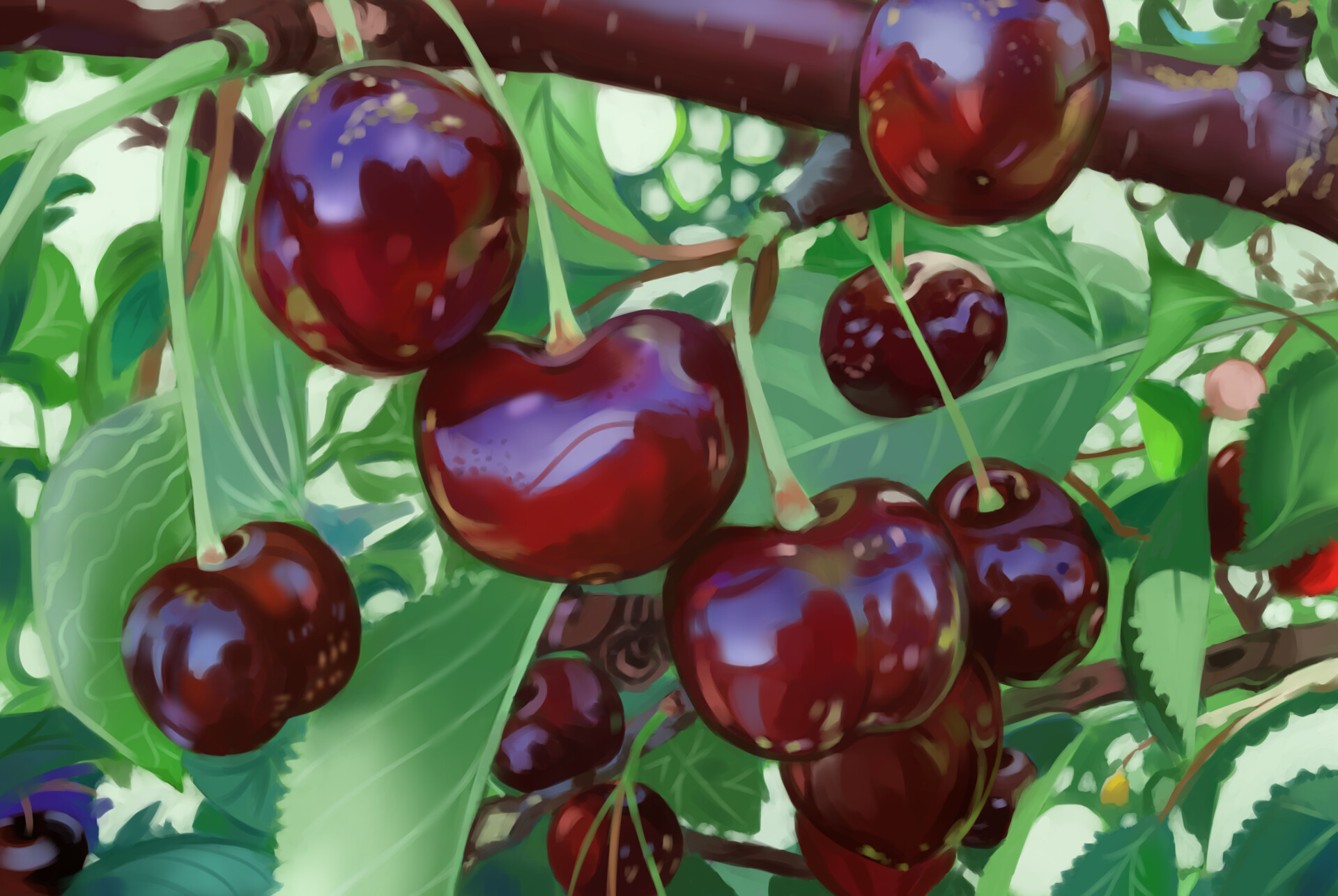 ArtStation - Cherry study