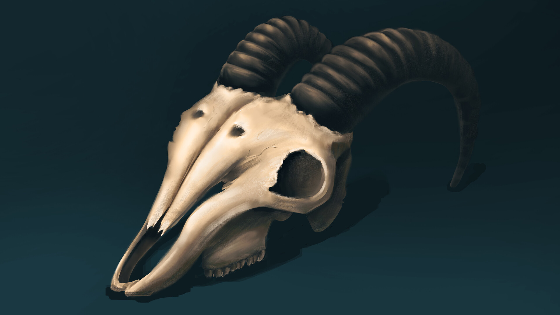 ArtStation - Goat's Skull