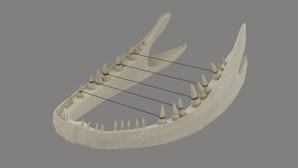 Mikael Paananen - Jawbone Kantele