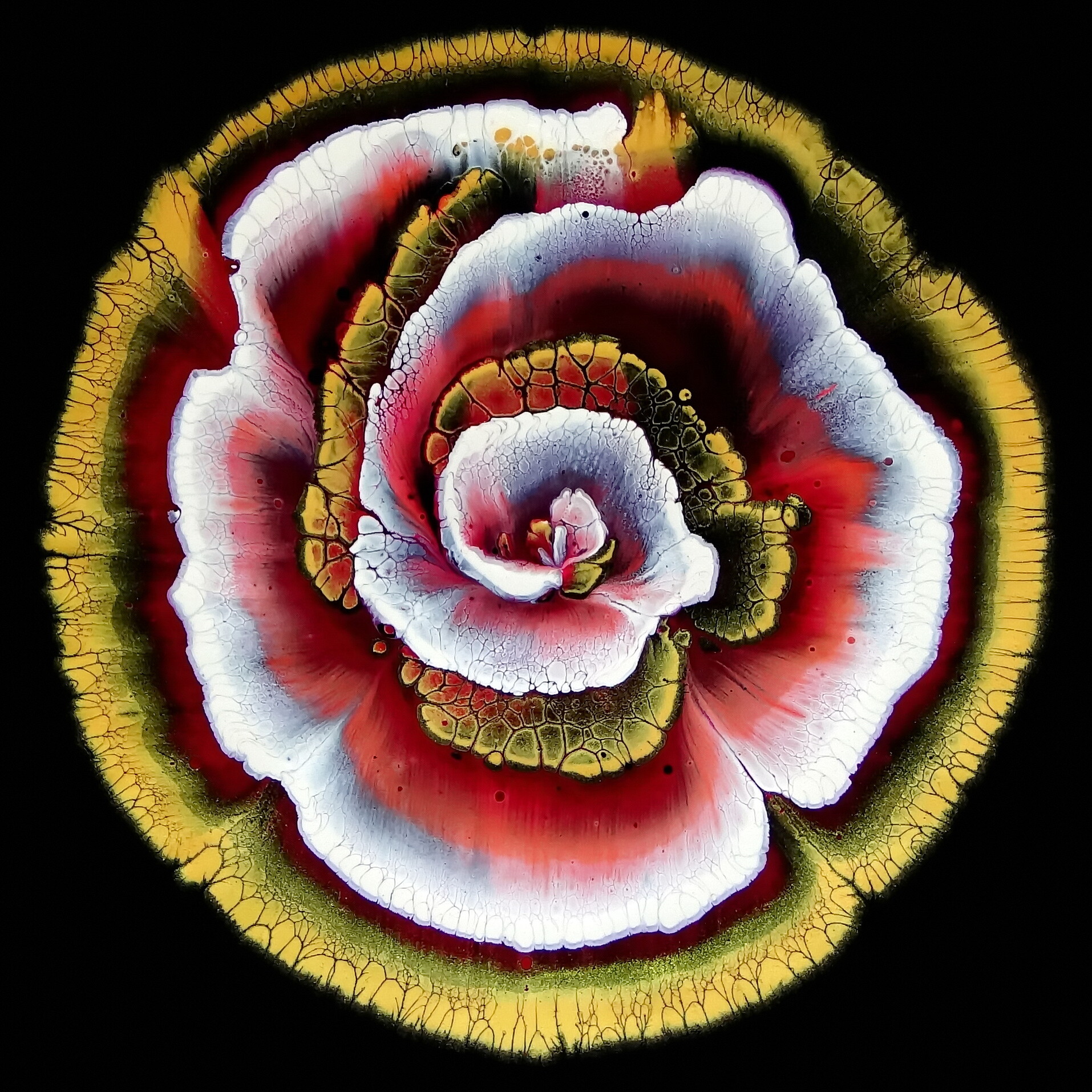 Fiona Art - From SPIRAL to FLOWER in 10 MINUTES ~ Fluid Art ~ Step by ...
