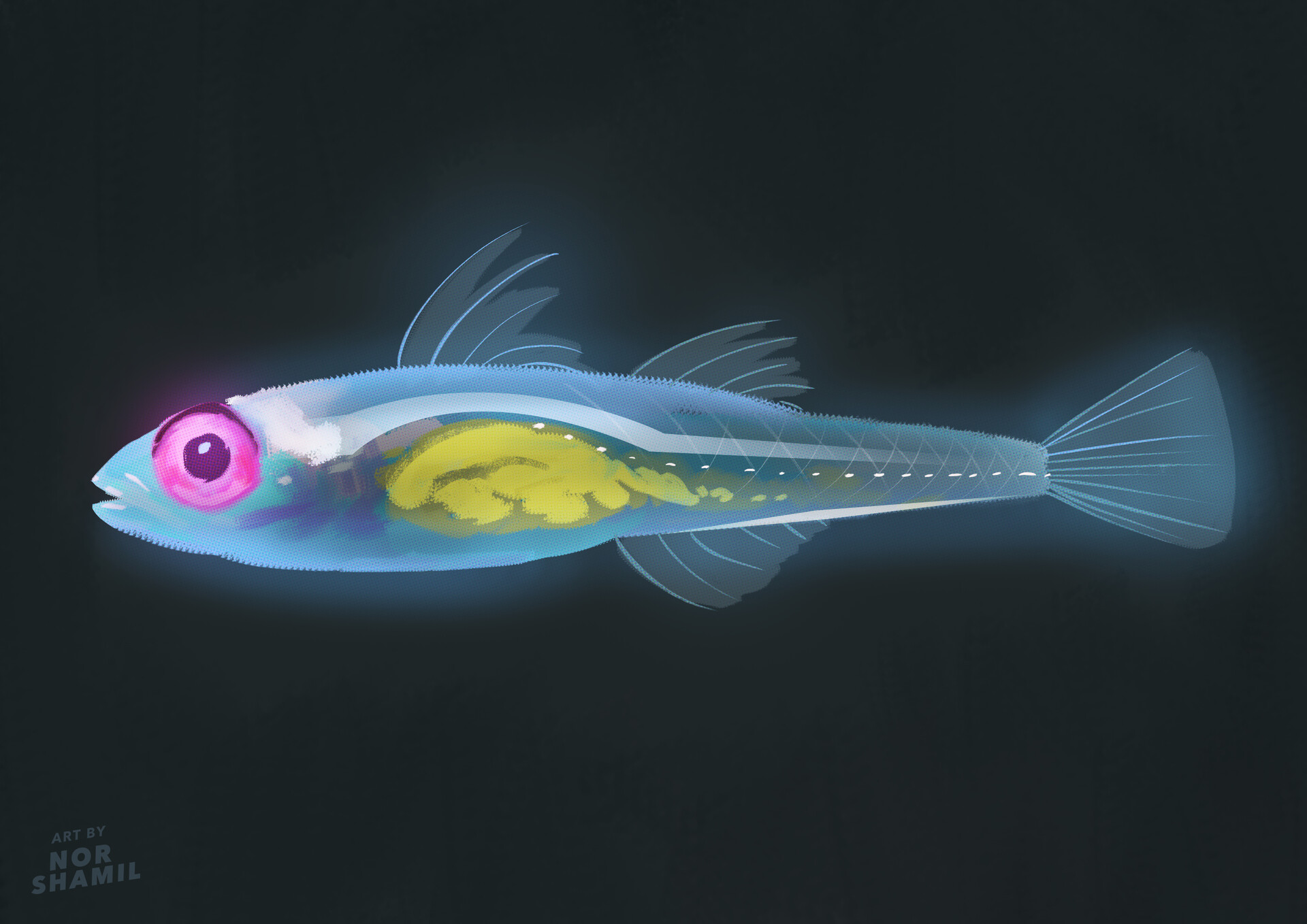 ArtStation - Fish Series/04 - Pink Eye Goby