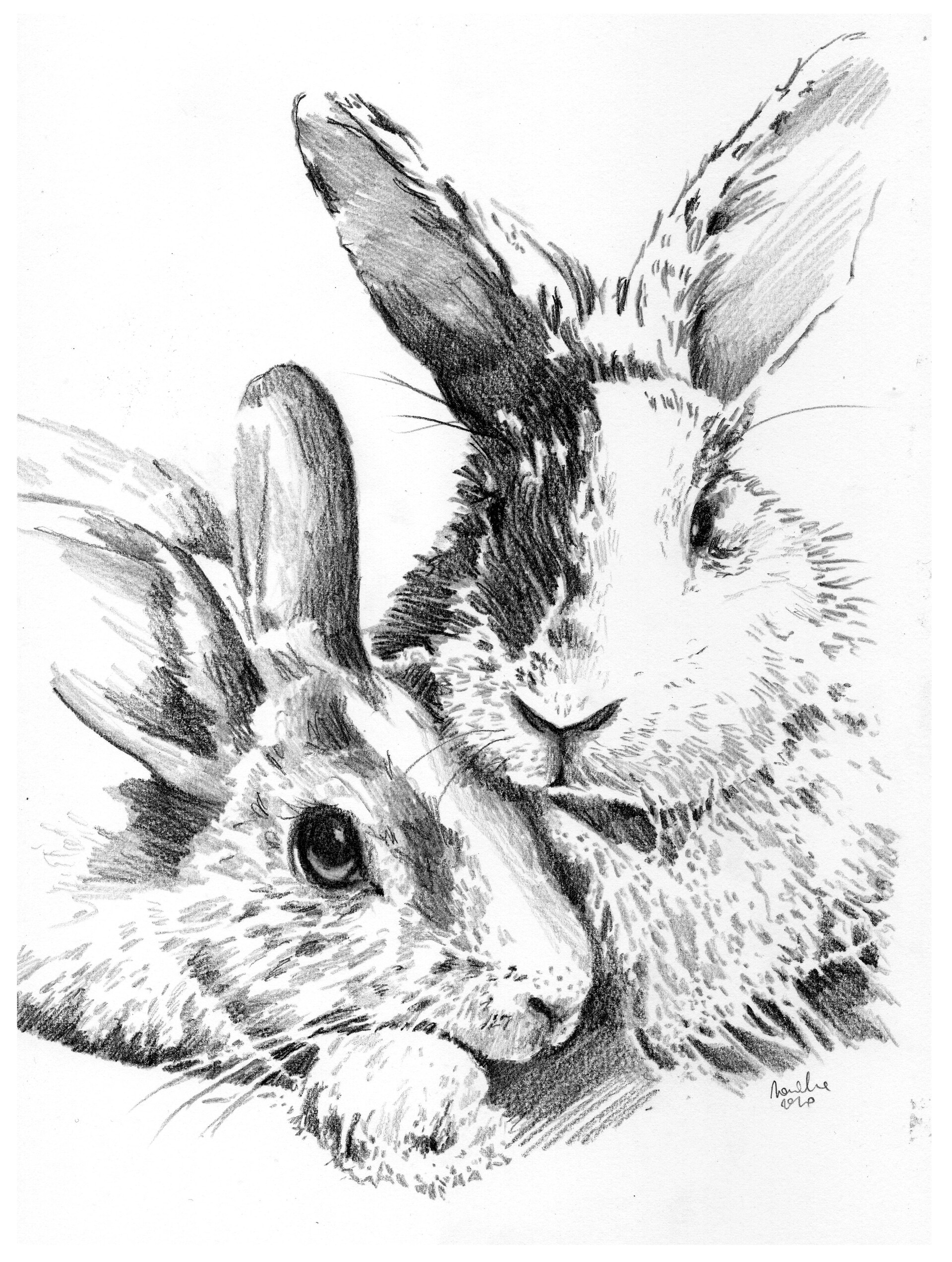 ArtStation - Bunnies sketch