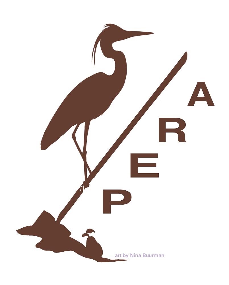 ArtStation - Logo design for PERA