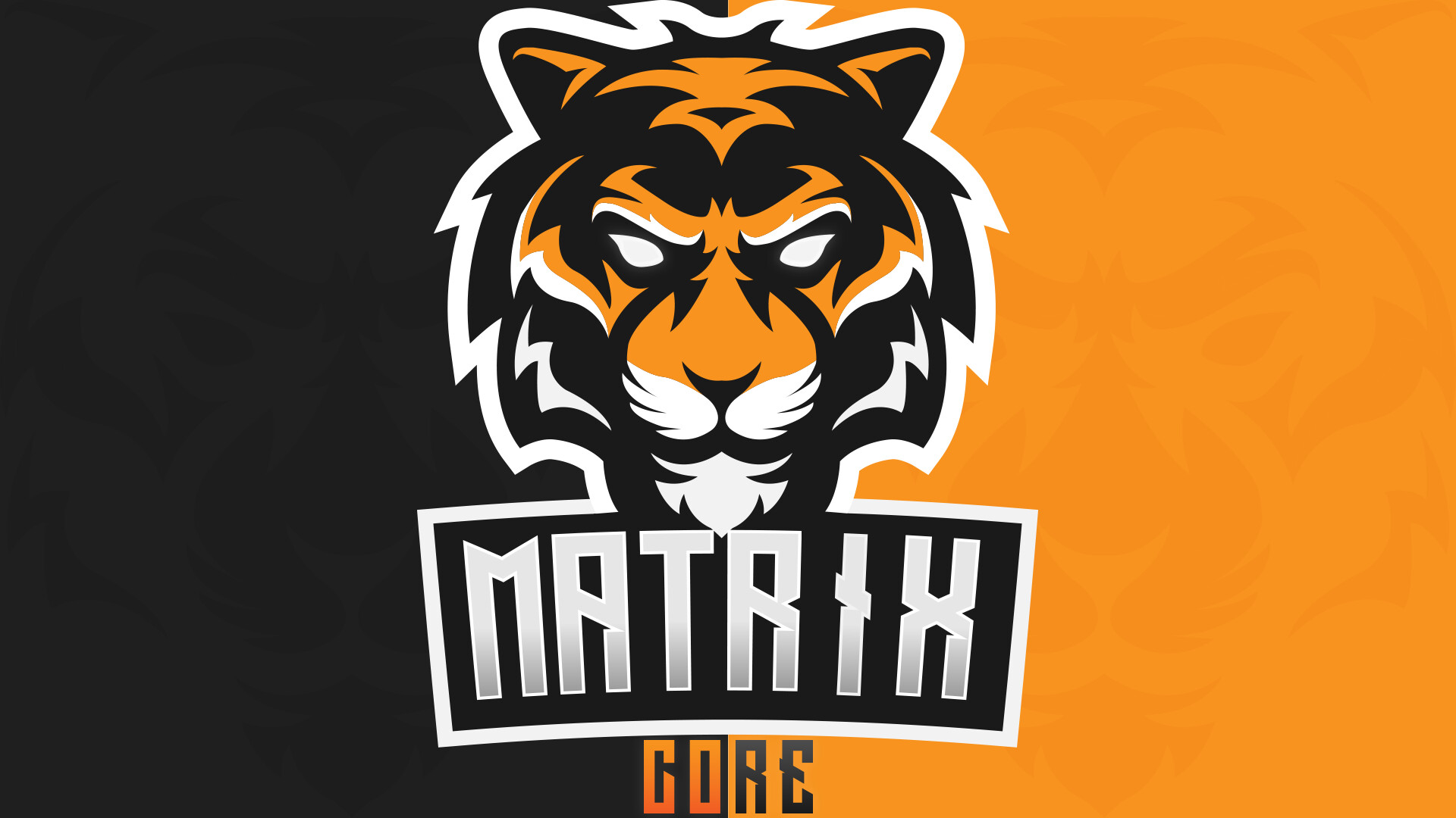 ArtStation - Matrix Esports Team
