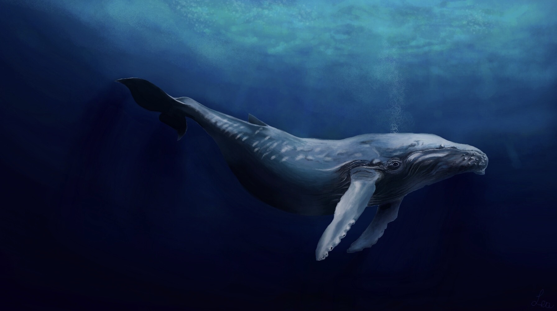 ArtStation - Whale