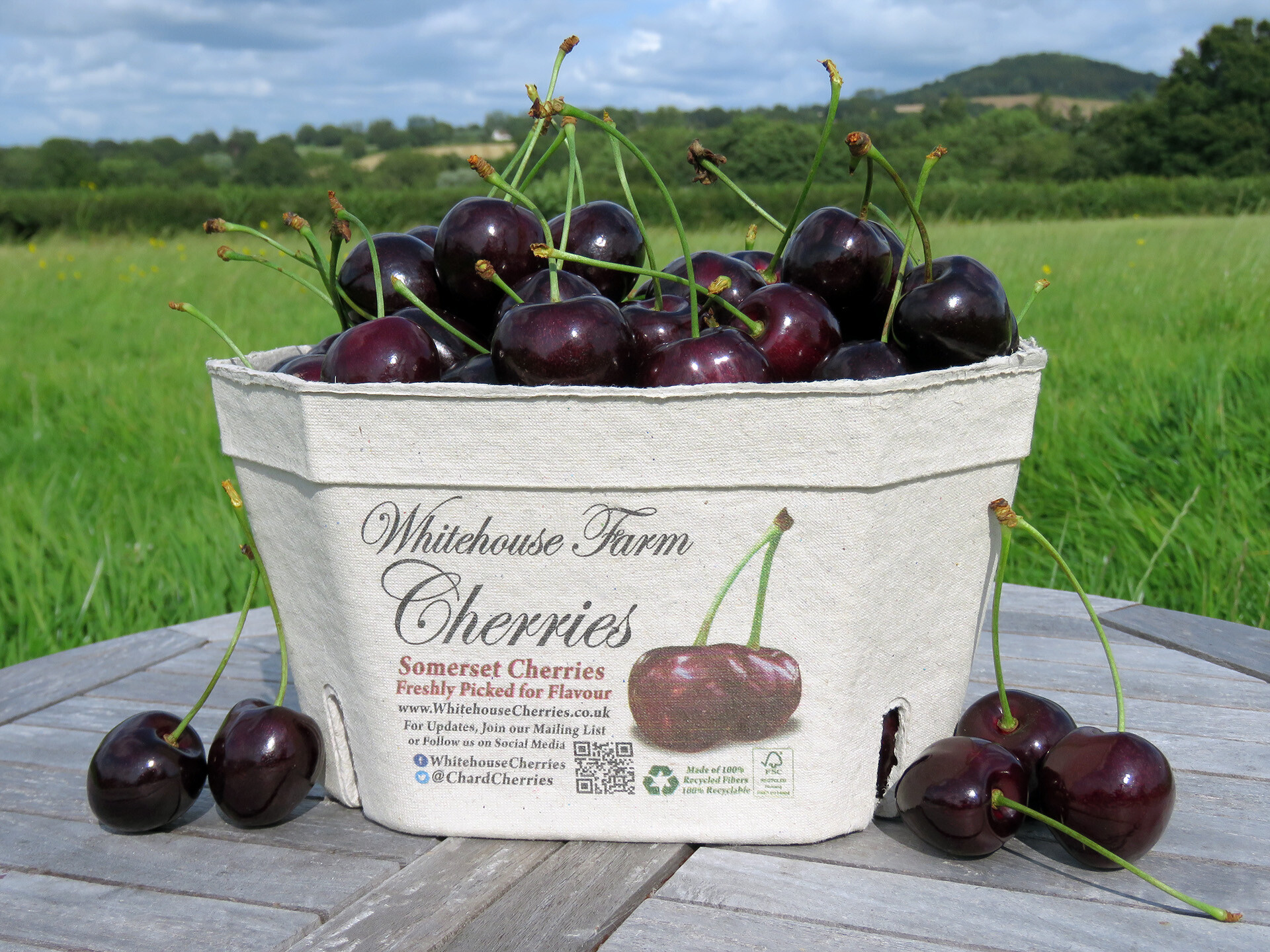 Edmund Fovargue - 2D: Eco Cherry Punnet Artwork (2021)