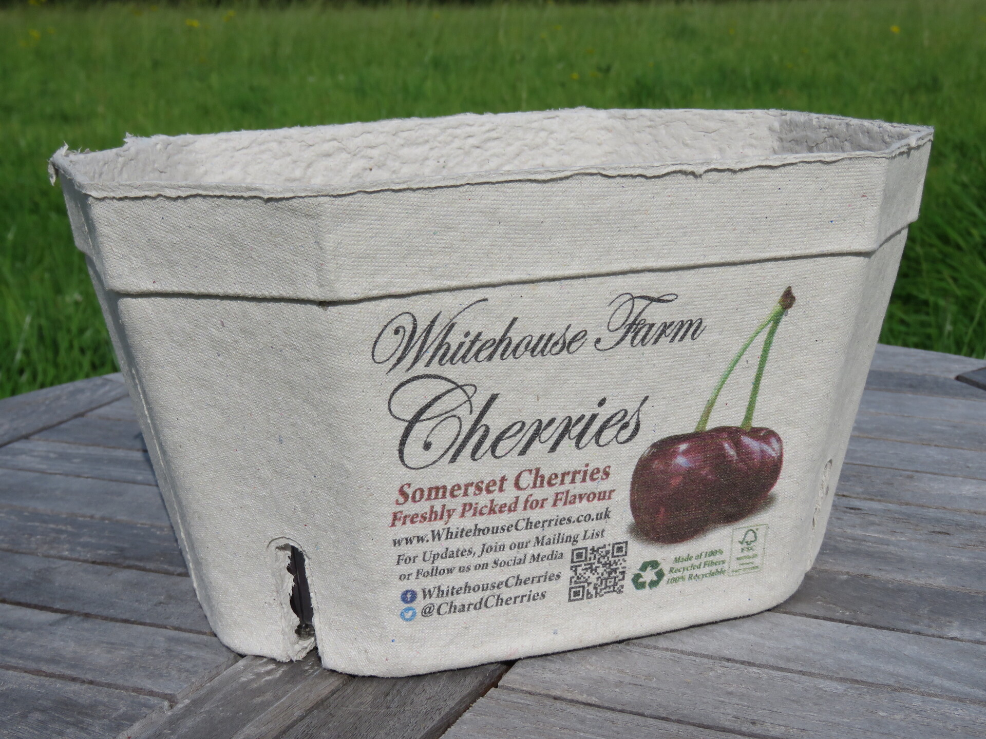 Edmund Fovargue - 2D: Eco Cherry Punnet Artwork (2021)