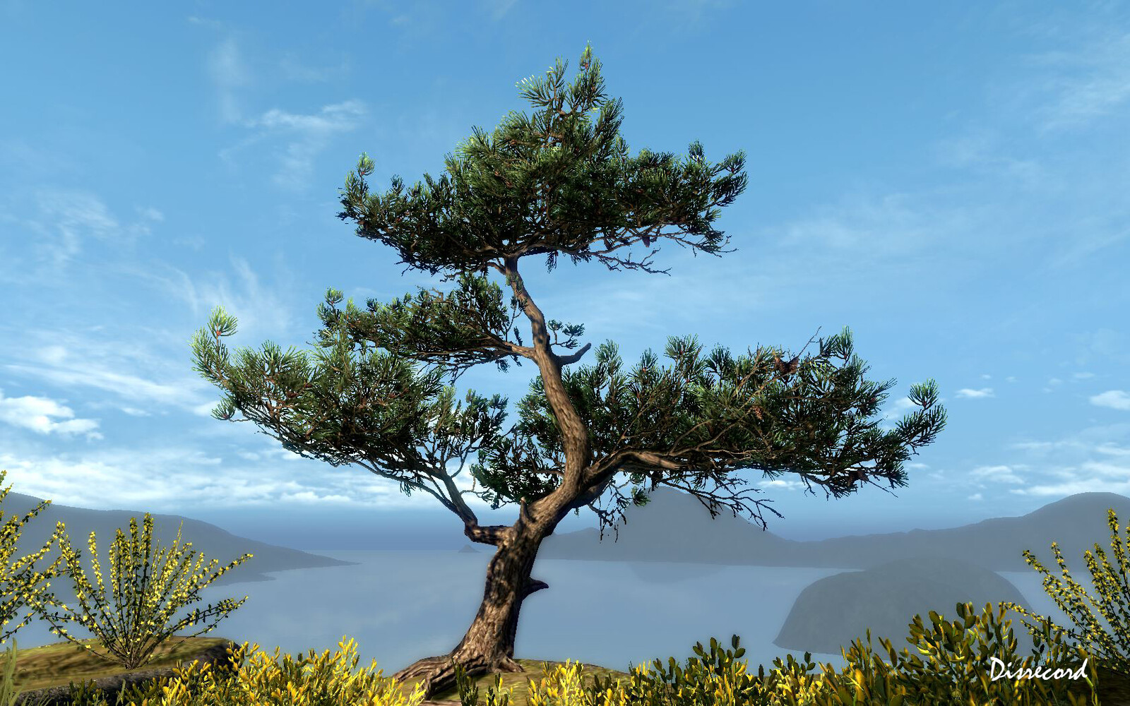 Oleg Gaidaev - Beyond Skyrim - Cyrodiil: Pine Trees