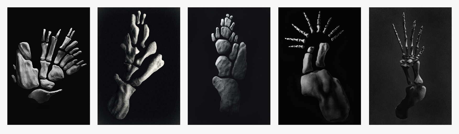 ArtStation - Fin to limb development in the Devonian