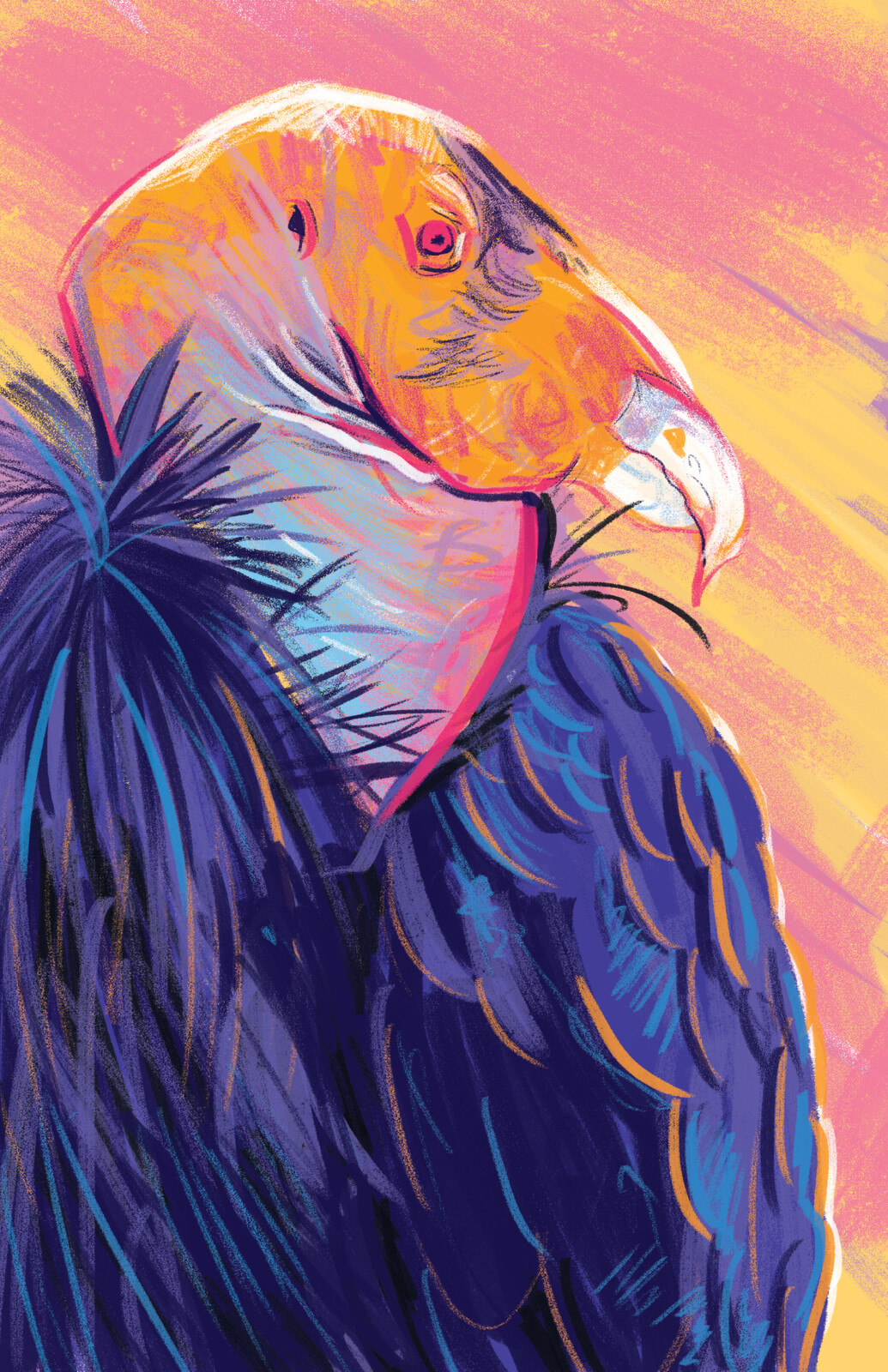 Jacqueline Powers - Digital Studies: 2017 to 2019